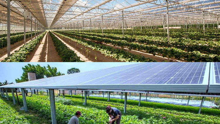 Introduction to Agrivoltaics